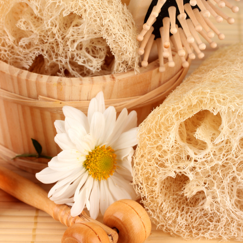 Vegetable sponge luffa – Eco Loco