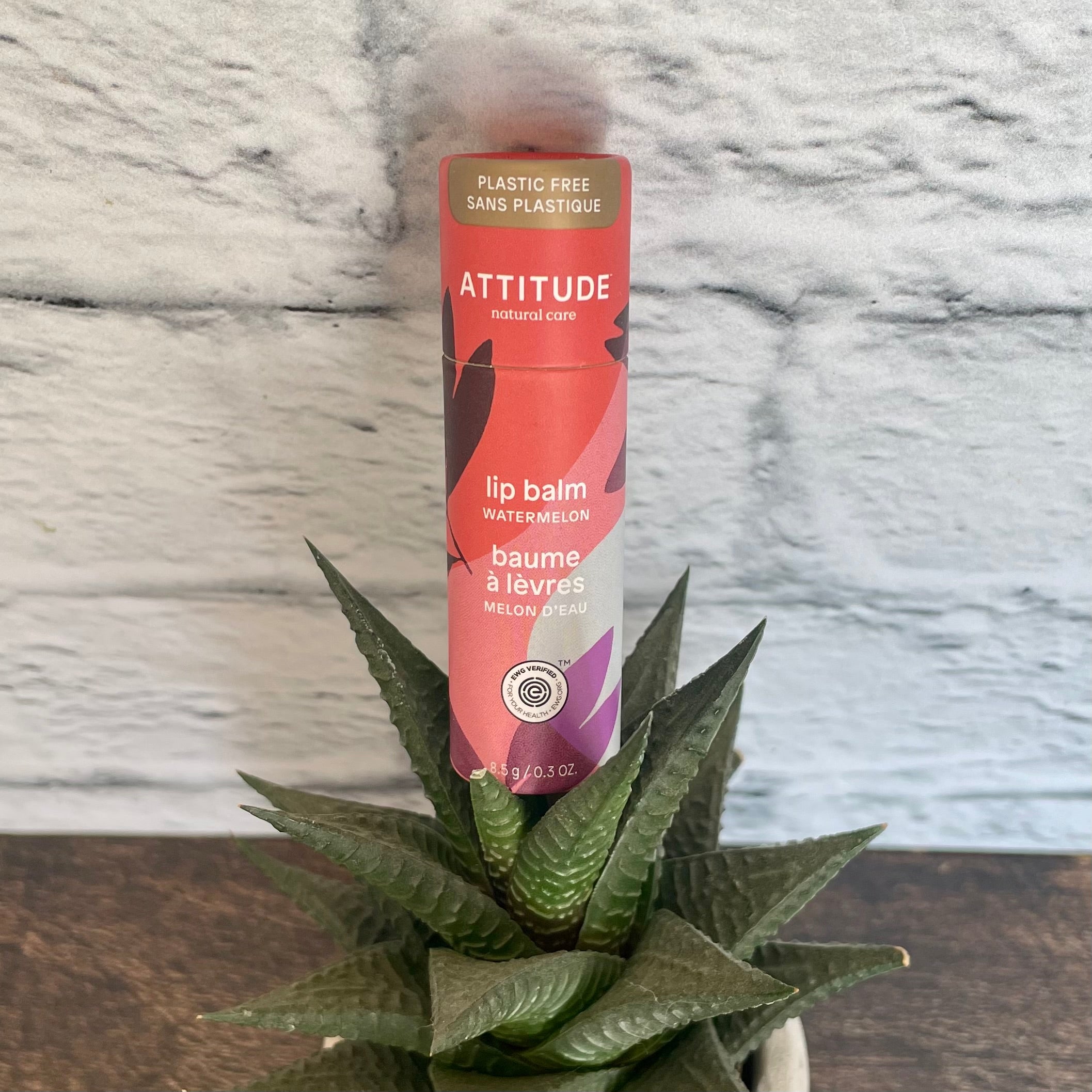 Lip balm – Eco Loco