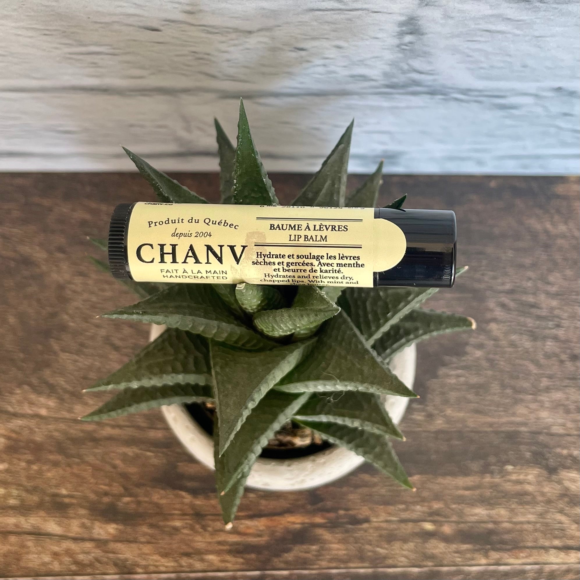 Hemp lip balm – Eco Loco